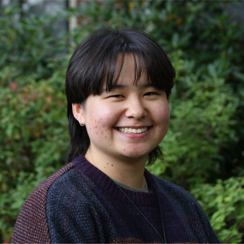 REU Summer 2025 Program at Nevis Labs